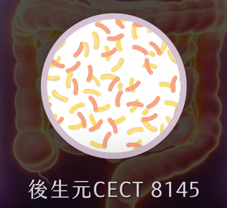 紐崔萊 | 內臟脂肪殺手 後生元CECT8145 - iShare 數位內容中心